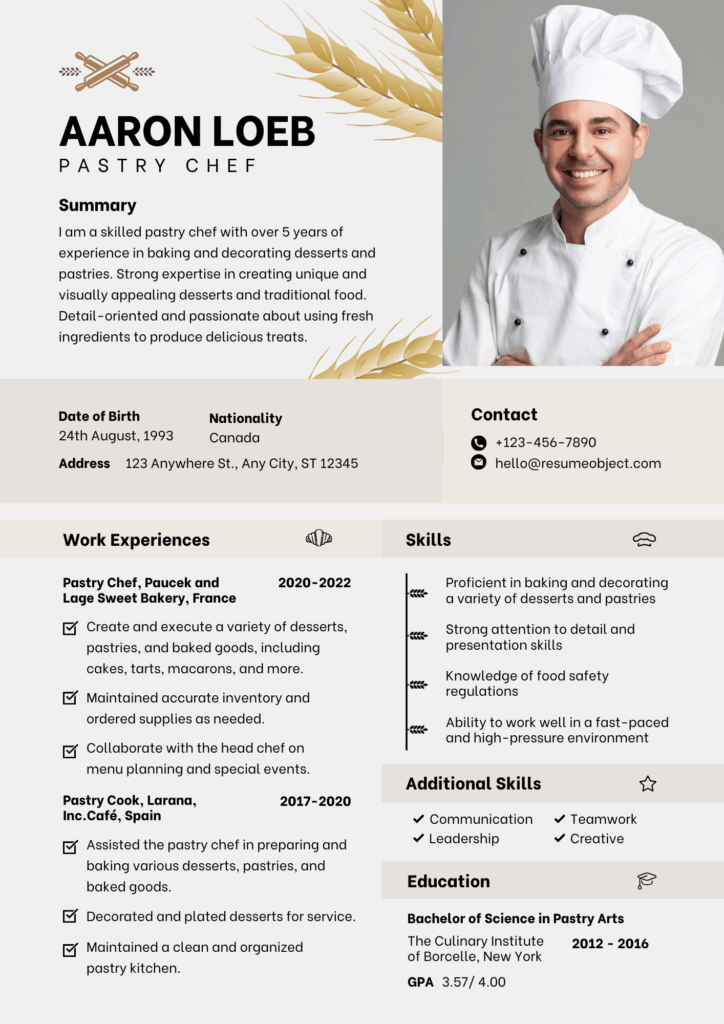 2D Animator Resume - Sample Format, Examples, Free Template - Resume Object