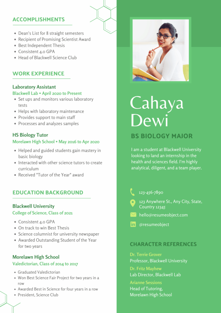Teaching Faculty Resume - Free Template, 30+ Examples - Resume Object