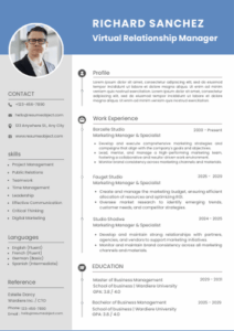 Virtual Relationship Manager Resume - Free Template, 30+ Examples ...